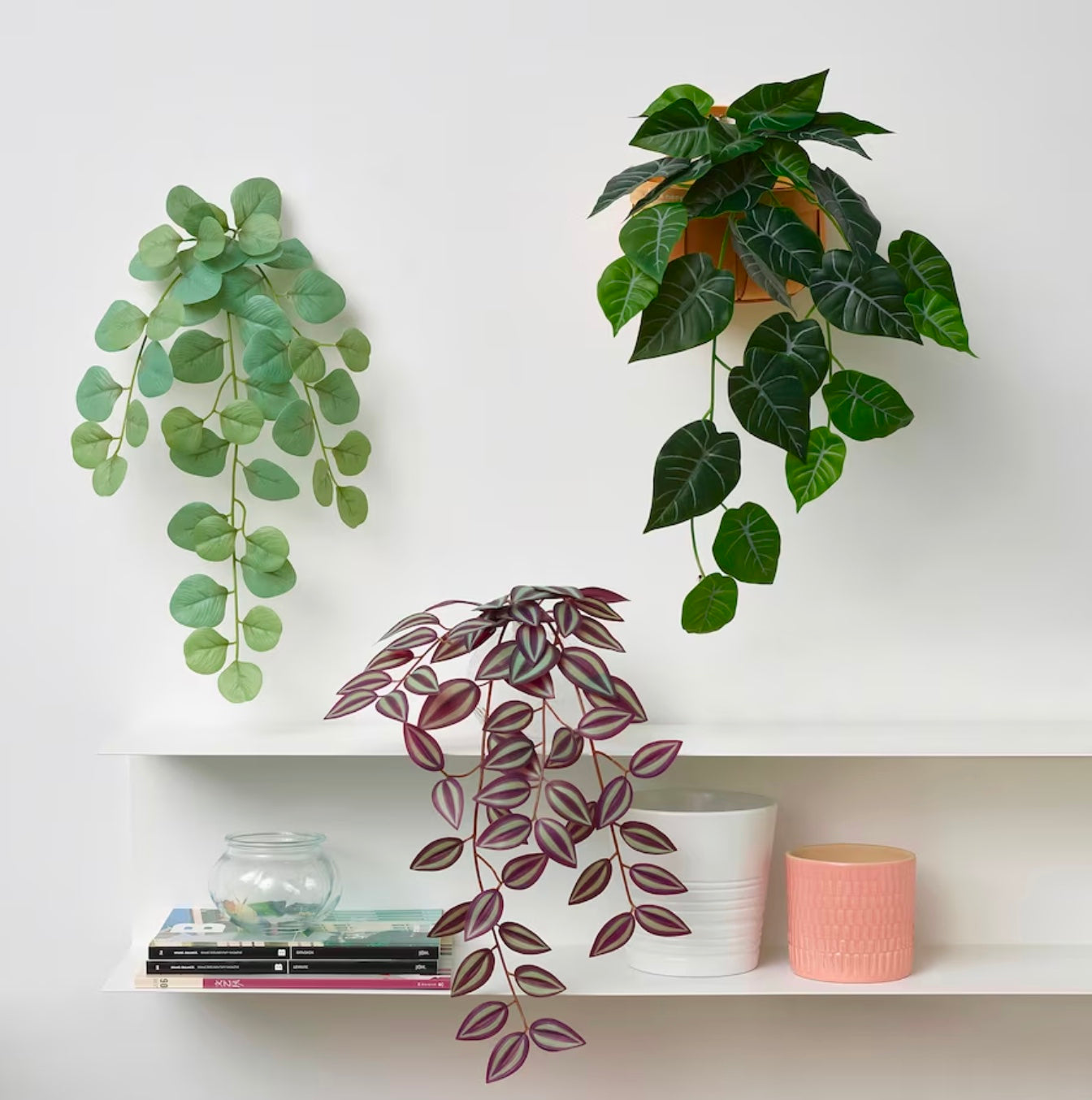 Collections – ChazeKart